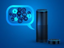 15+ of the Best Alexa Skills to Add to your Amazon Echo - The Plug ...