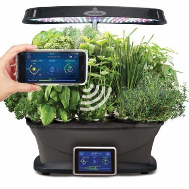 The Best Smart Garden Products - The Plug - HelloTech