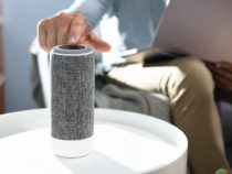 Best Smart Speakers for Privacy - The Plug - HelloTech