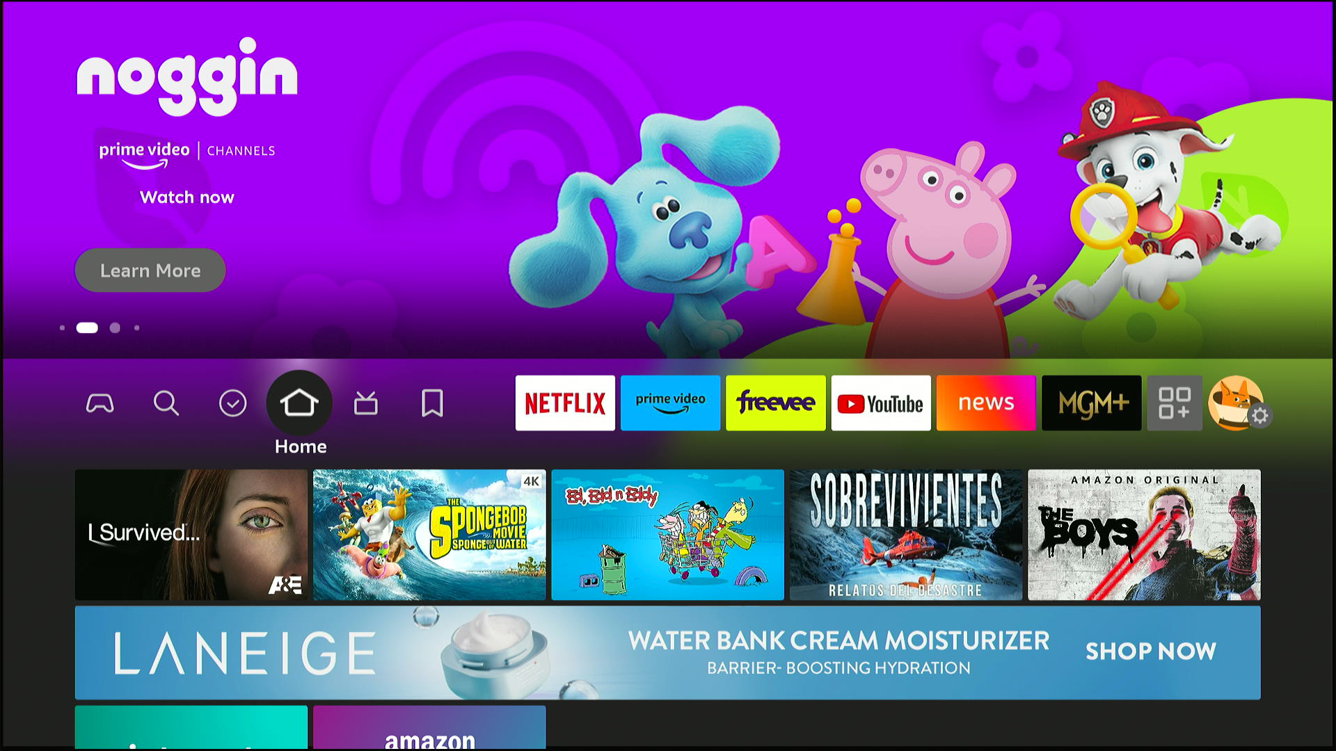 Roku vs Fire TV: Which Streaming Device Is Best For You? - The Plug ...