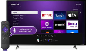 What Is Roku? Everything You Need to Know - The Plug - HelloTech