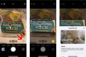 The Best New iOS 15 Features and How to Use Them - The Plug - HelloTech