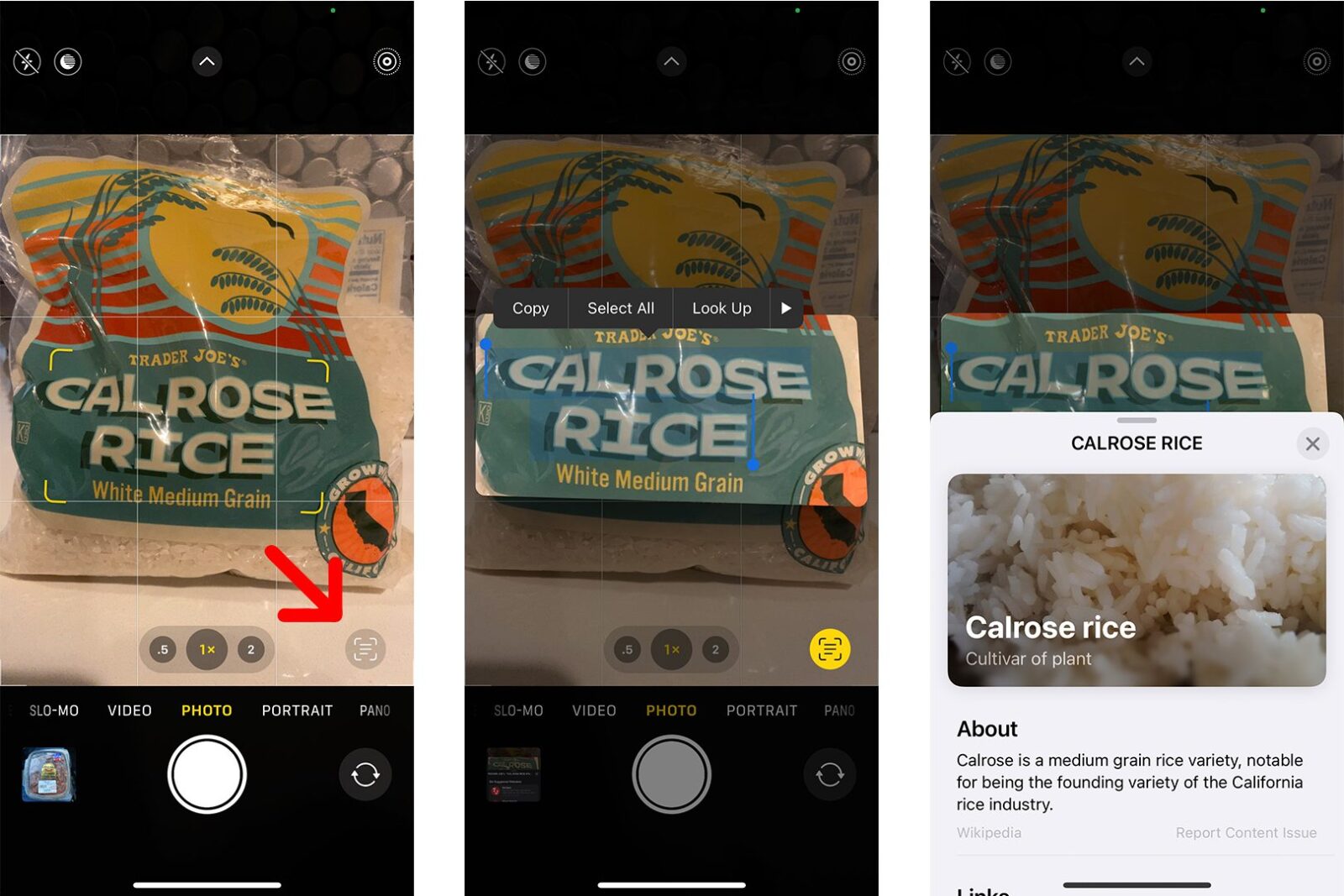 The Best New iOS 15 Features and How to Use Them - The Plug - HelloTech