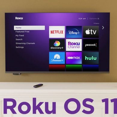 What Is Roku? Everything You Need to Know - The Plug - HelloTech