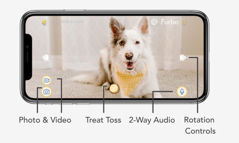 The Best Pet Cameras to Ease Separation Anxiety - The Plug - HelloTech