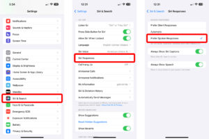 What To Do When Siri Is Not Working On Your iPhone - The Plug - HelloTech